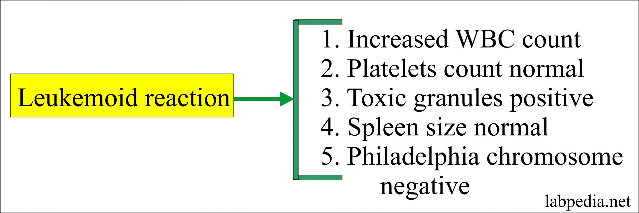 Leukemoid Reaction and Diagnosis (D/D from Chronic Myelocytic leukemia) - Labpedia.net