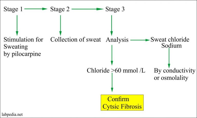 Chemical pathology - Labpedia.net