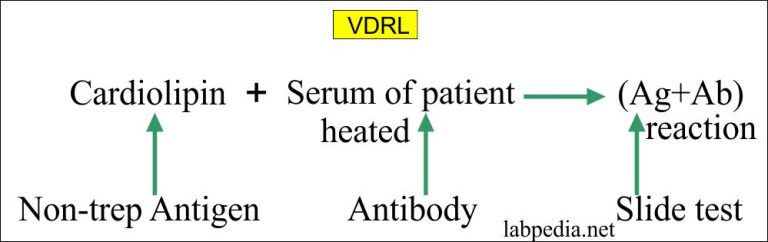 Lab Tests - Labpedia.net