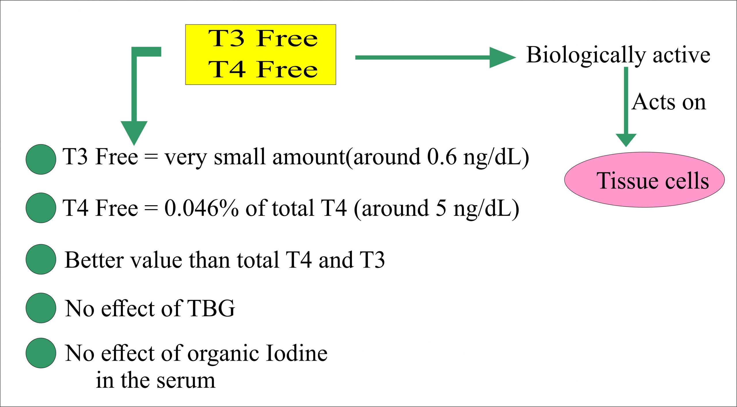 Thyroid Part 6 Thyroxine T4 Free T4 Labpedia Thyroid Part 6 Thyroxine T4 Free T4 Labpedia