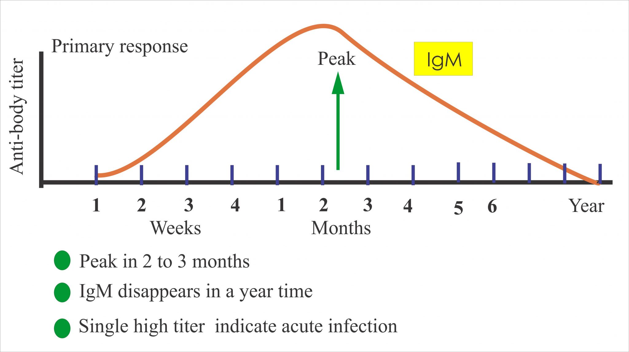 Microbiology - Labpedia.net