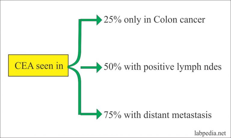 Tumor marker - Labpedia.net