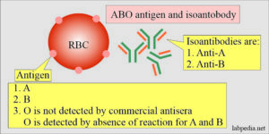 Blood banking:- part 1- Blood Groups ABO and Rh System, Blood Grouping ...