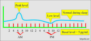 ACTH (Adrenocorticotropic Hormone), Cushing's Syndrome - Labpedia.net