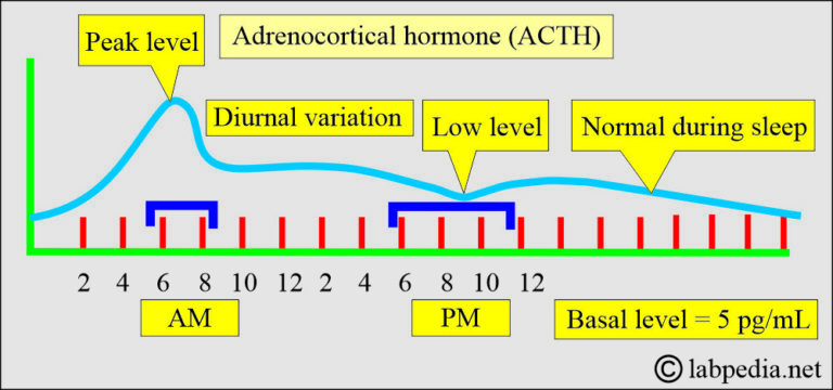ACTH (Adrenocorticotropic Hormone), Cushing's Syndrome - Labpedia.net