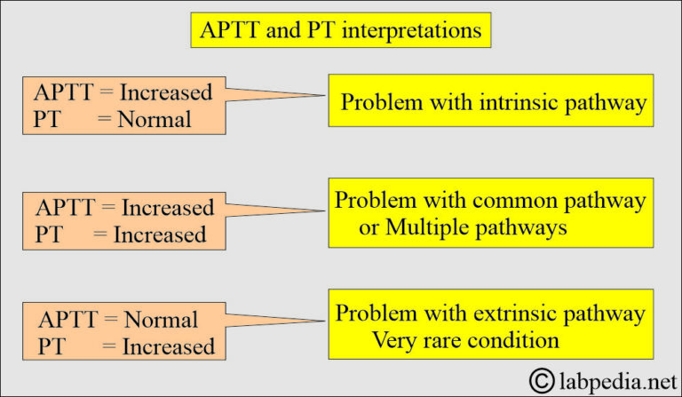 Coagulation:- part 4 - Partial Thromboplastin Time (PTT) and APTT ...
