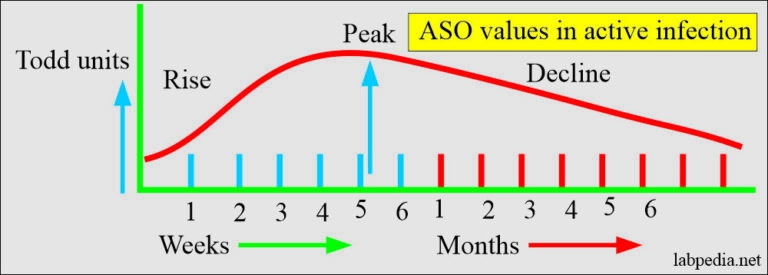 ASO Titer (Antistreptolysin O titer) - Labpedia.net