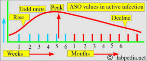 ASO Titer (Antistreptolysin O titer) - Labpedia.net