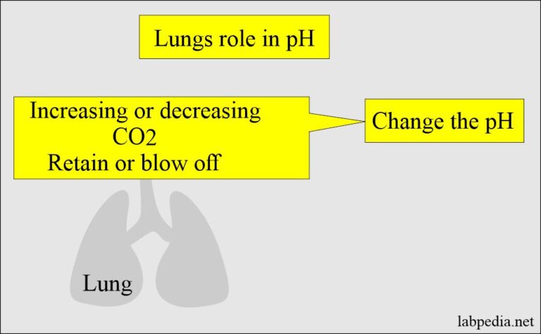 Acid-Base Balance:- Bicarbonate level (HCO3-)