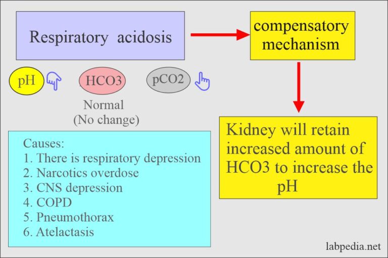 Acid-Base Balance:- Part 4 - Arterial Blood gases (Blood Gases ...