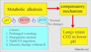 Acid-base Balance:- Part 2 - Metabolic acidosis, and Metabolic ...
