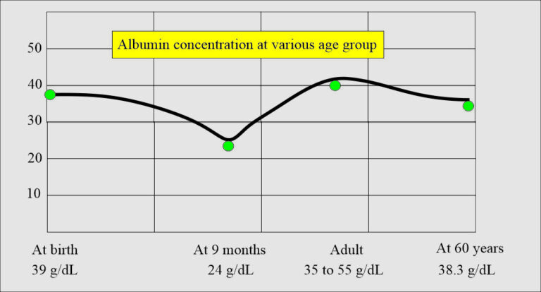 Albumin (Serum Albumin) - Labpedia.net