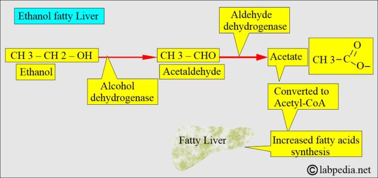 Alcohols: Ethyl alcohol (Ethanol), Methanol, Isopropanol, Ethylene ...