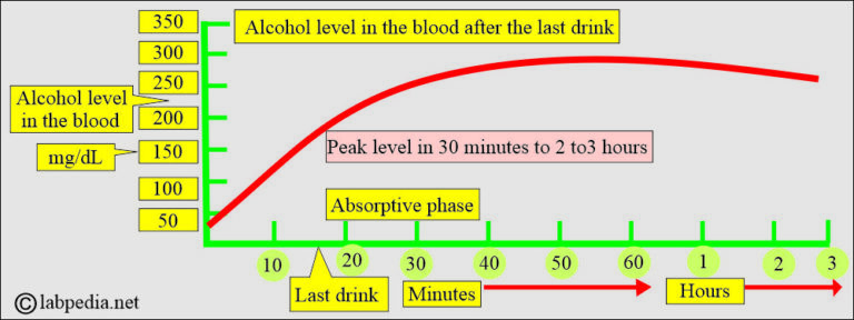 Alcohols: Ethyl alcohol (Ethanol), Methanol, Isopropanol, Ethylene ...