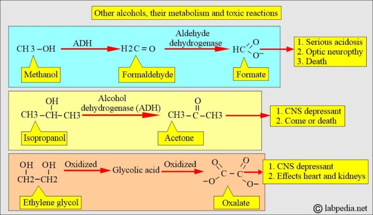 Alcohols: Ethyl alcohol (Ethanol), Methanol, Isopropanol, Ethylene ...