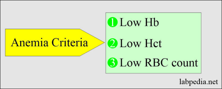 Anemia classification, diagnosis, and routine workup
