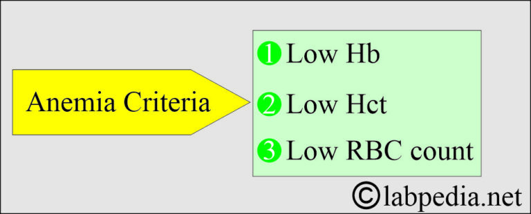 Anemia classification, diagnosis, and routine workup
