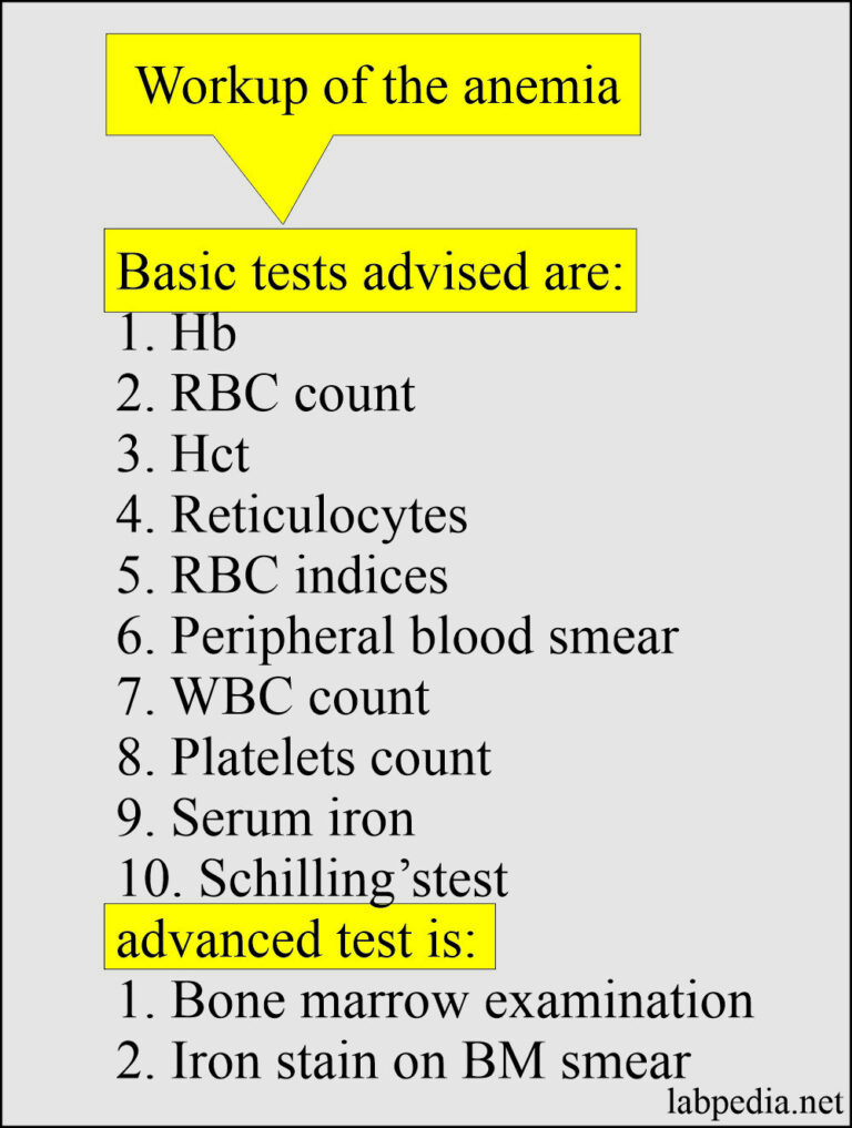 Anemia classification, diagnosis, and routine workup
