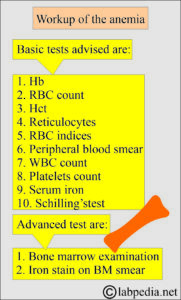 Anemia classification, diagnosis, and routine workup