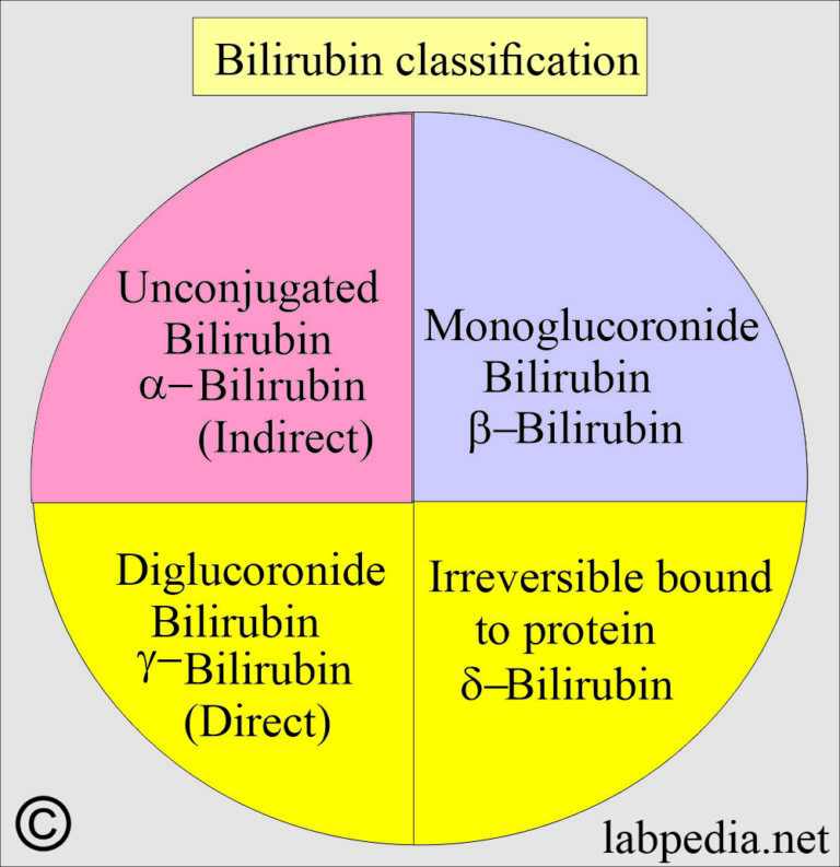 Bilirubin:- Part 1 - Bilirubin (Direct and Indirect), Classification of ...