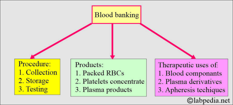 Blood banking:- part 2 - Donor selection, Cross Match Procedure, and ...