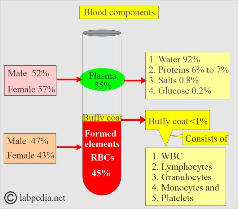 Blood sample Types, Anticoagulants, Preservatives, Adverse effects of ...
