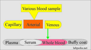 Types of Blood Samples, Criteria for rejection of the blood sample ...