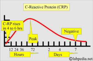 C-Reactive Protein (CRP), High-Sensitivity C-Reactive Protein (hs-CRP ...