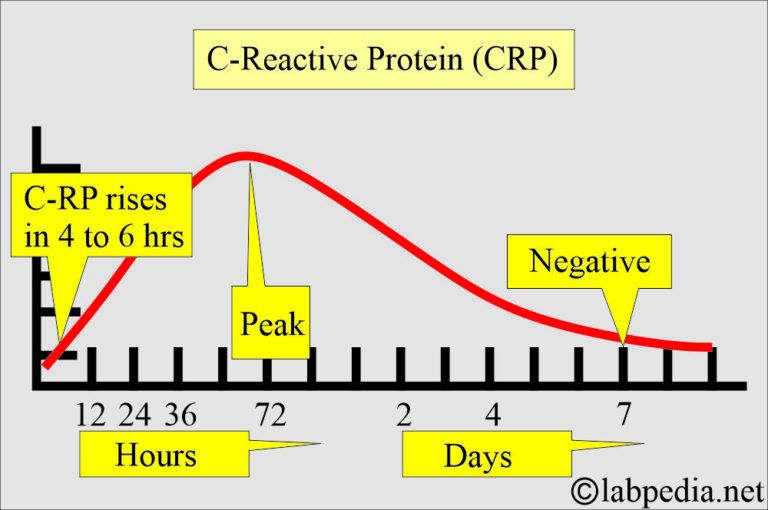 C-Reactive Protein (CRP), High-Sensitivity C-Reactive Protein (hs-CRP) - Labpedia.net