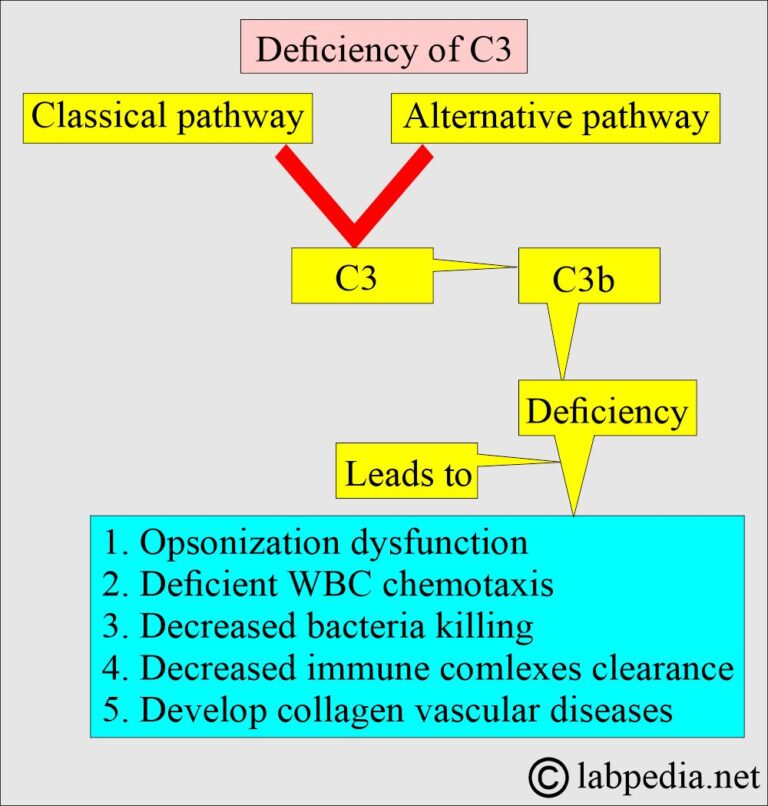 Complement, C3 and C4, Acute Phase Protein - Labpedia.net