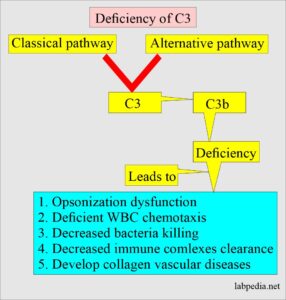 Complement, C3 and C4, Acute Phase Protein - Labpedia.net