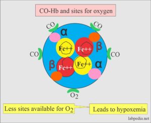 Carboxyhemoglobin (CO-Hb), Carbon monoxide (CO) poisoning - Labpedia.net