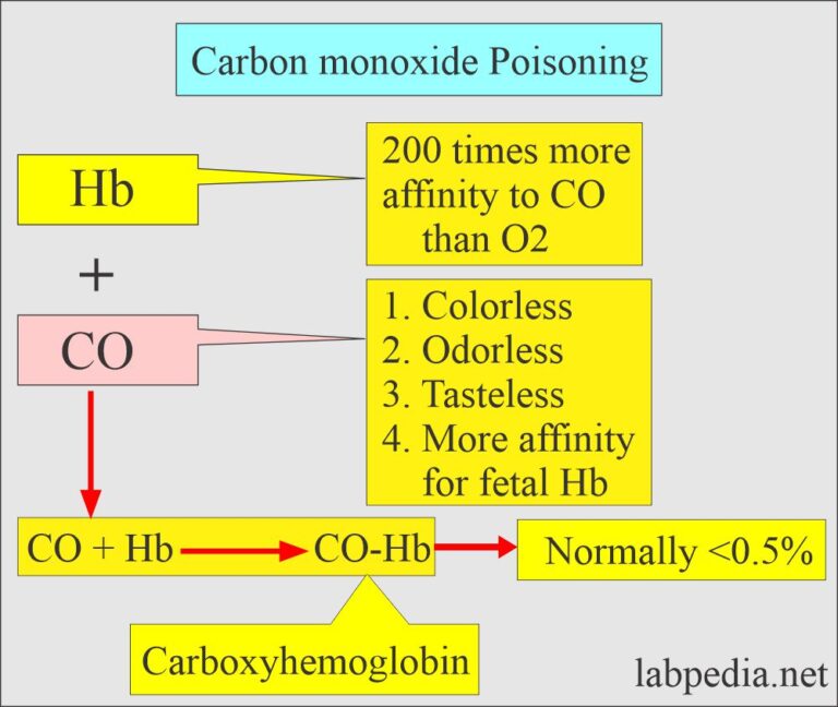 Carboxyhemoglobin (CO-Hb), Carbon Monoxide (CO) Poisoning - Labpedia.net