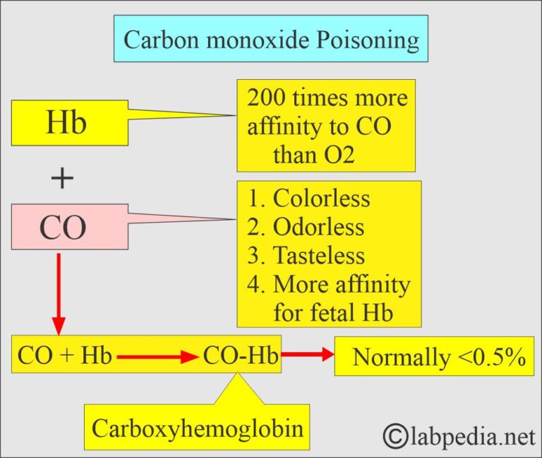 Carboxyhemoglobin (CO-Hb), Carbon Monoxide (CO) Poisoning - Labpedia.net