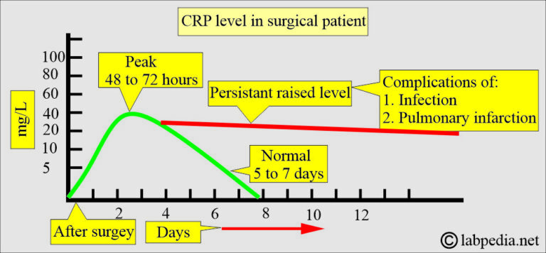 C-Reactive Protein (CRP), High-Sensitivity C-Reactive Protein (hs-CRP ...