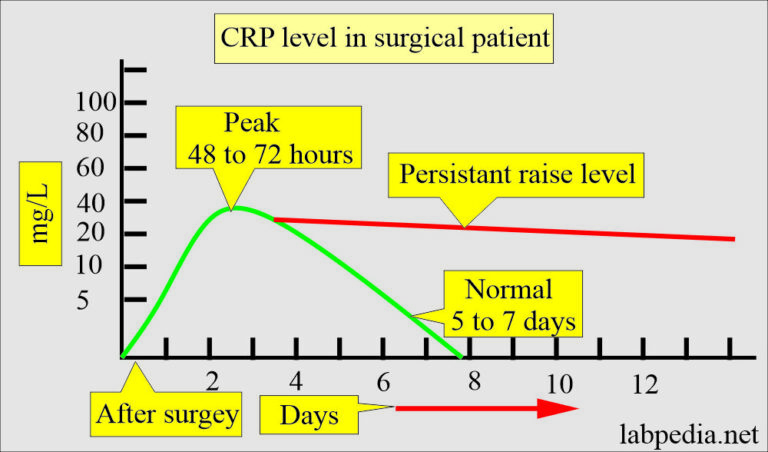 C-Reactive Protein (CRP), High-Sensitivity C-Reactive Protein (hs-CRP), Acute Phase Protein ...