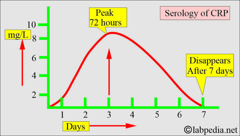 C-Reactive Protein (CRP), High-Sensitivity C-Reactive Protein (hs-CRP ...
