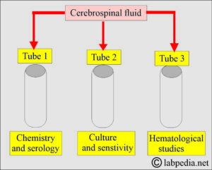 Cerebrospinal Fluid Analysis:- Part 2 - Cerebrospinal fluid (CSF ...