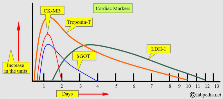 Cardiac Marker:- Part 3 -Troponin-T, and Troponin-I - Labpedia.net