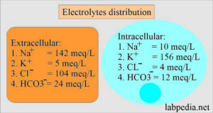 Chloride (Blood Chloride Cl¯ ) and Cystic Fibrosis - Labpedia.net