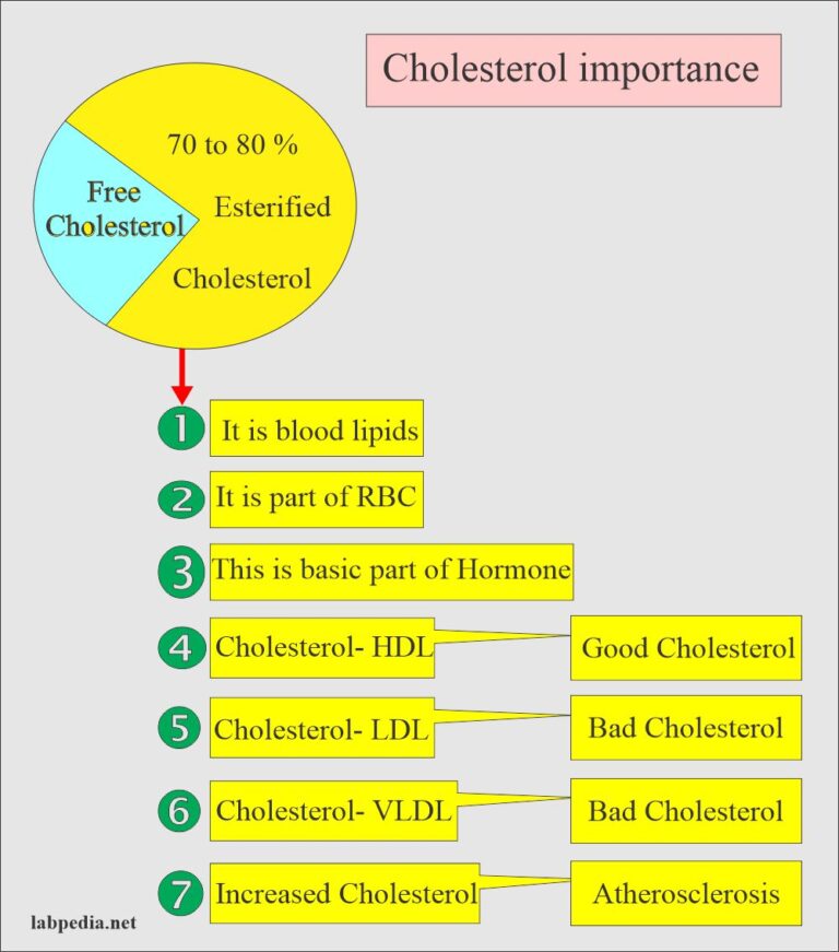 Cholesterol (Serum Cholesterol) - Labpedia.net