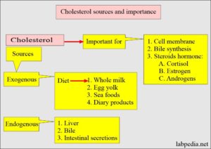 Cholesterol (Serum Cholesterol) - Labpedia.net