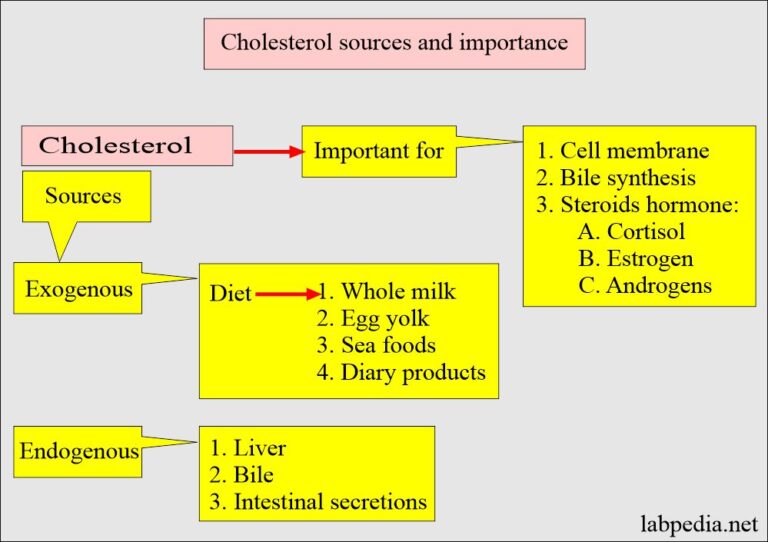 Cholesterol (Serum Cholesterol) - Labpedia.net
