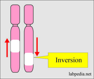 Chromosome studies, Cytogenetics, Chromosome Karyotyping - Labpedia.net