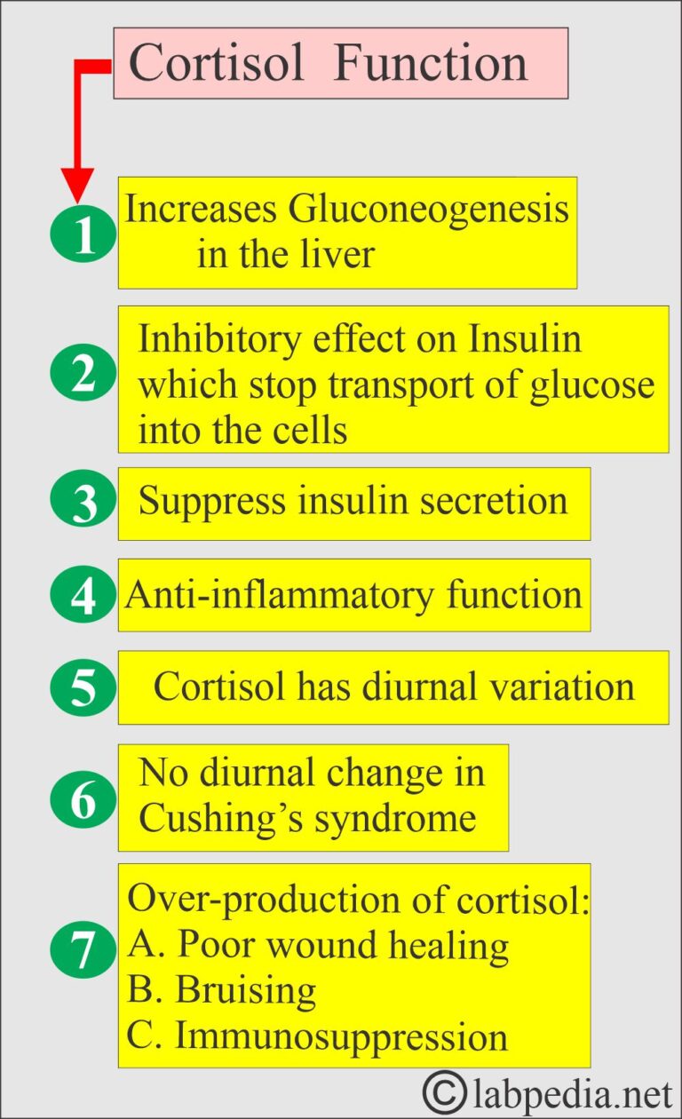 Cortisol Hormone, Hydrocortisone (AM and PM) and Cushing's syndrome - Labpedia.net