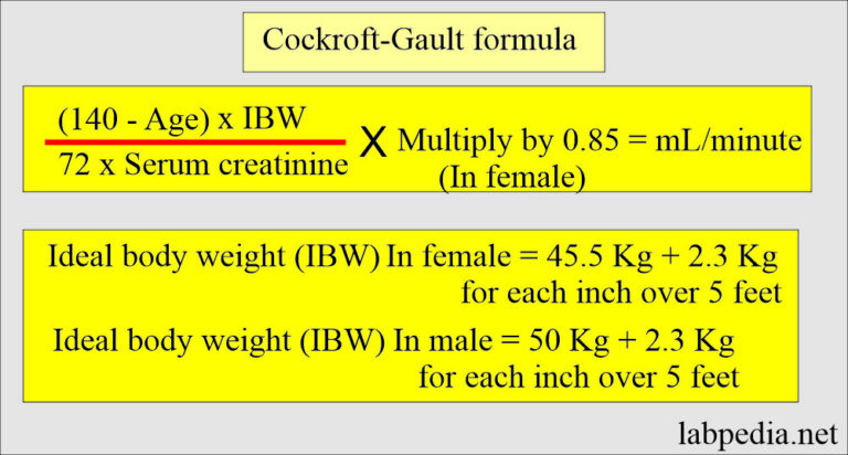 creatinine clearance (CrC) test, Glomerular filtration rate (GFR)
