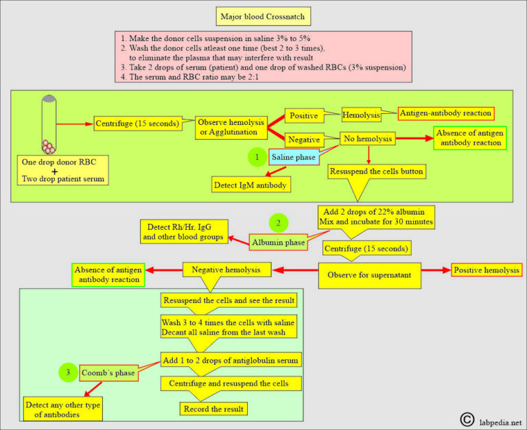 Blood banking:- part 2 - Donor selection, Cross Match Procedure, and ...