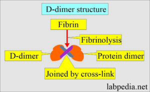 D-dimer test , diagnosis of DIC