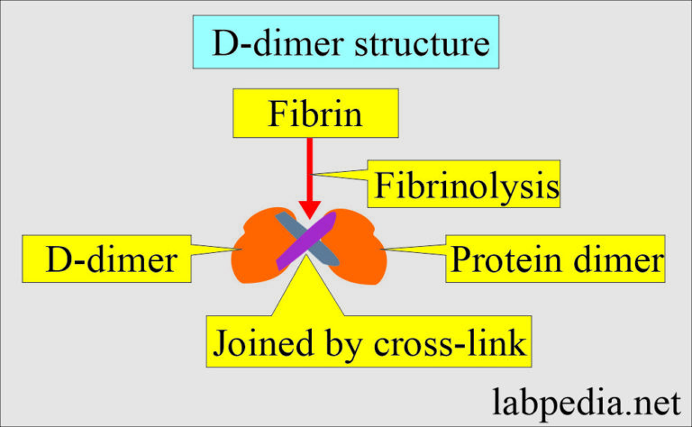 D-dimer test , diagnosis of DIC