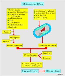 Fibrinogen Degradation Products (FDPs), Fibrin Split Products